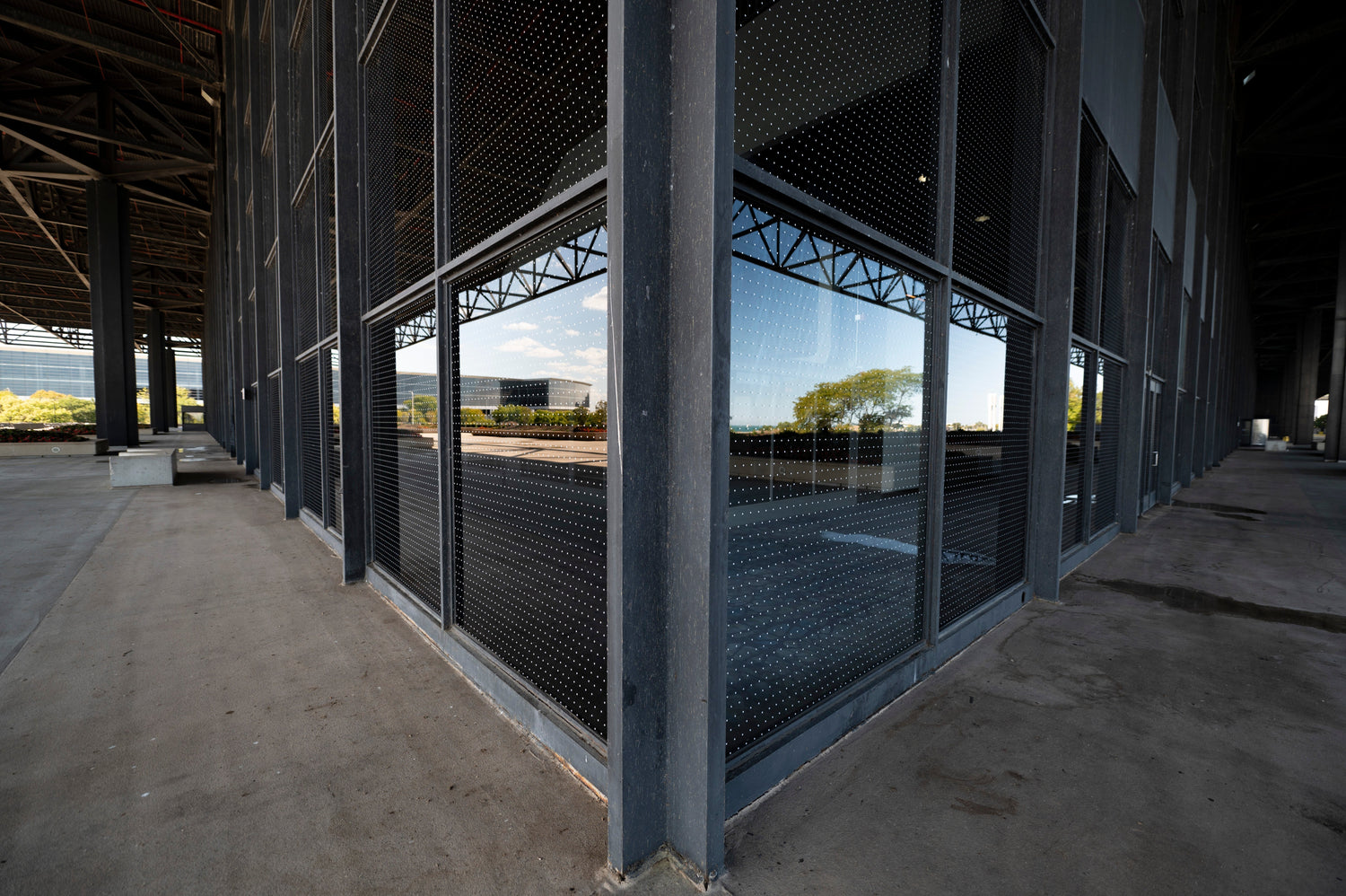 Why Birds Collide with Windows and How We Can Prevent It – Feather Friendly