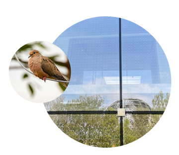 Medium-scale Pro DIY – Feather Friendly