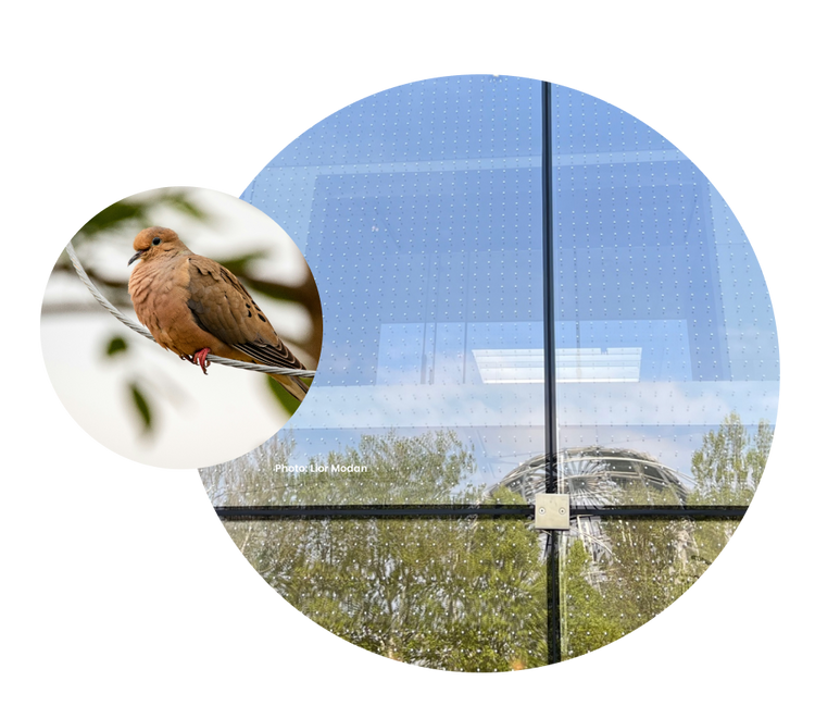 Large-scale Pro – Feather Friendly