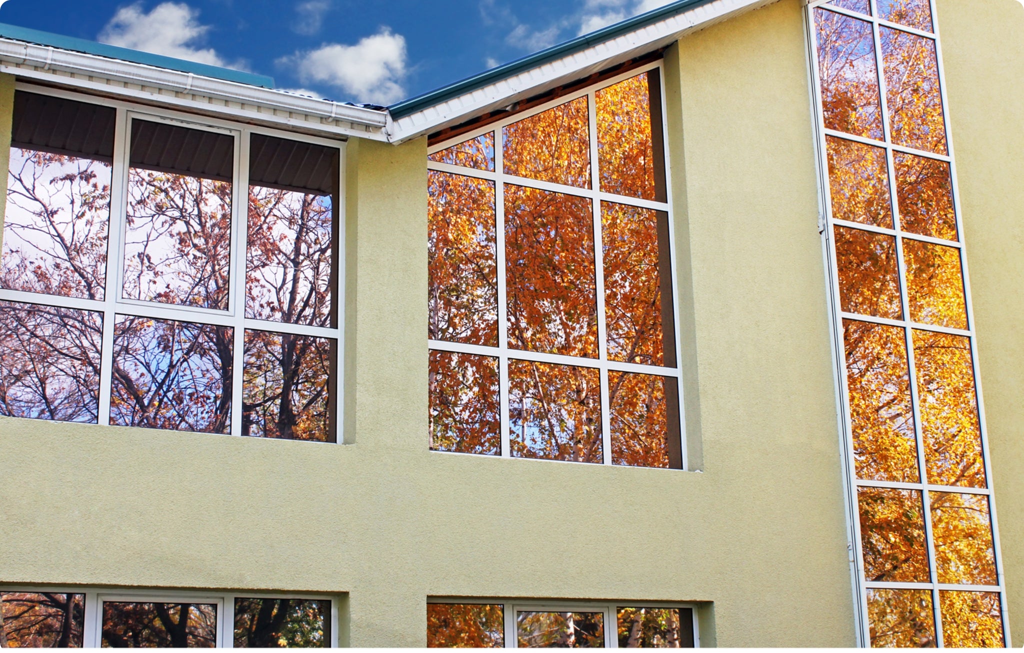 White Markers For Reflective & Combination Glass – Feather Friendly