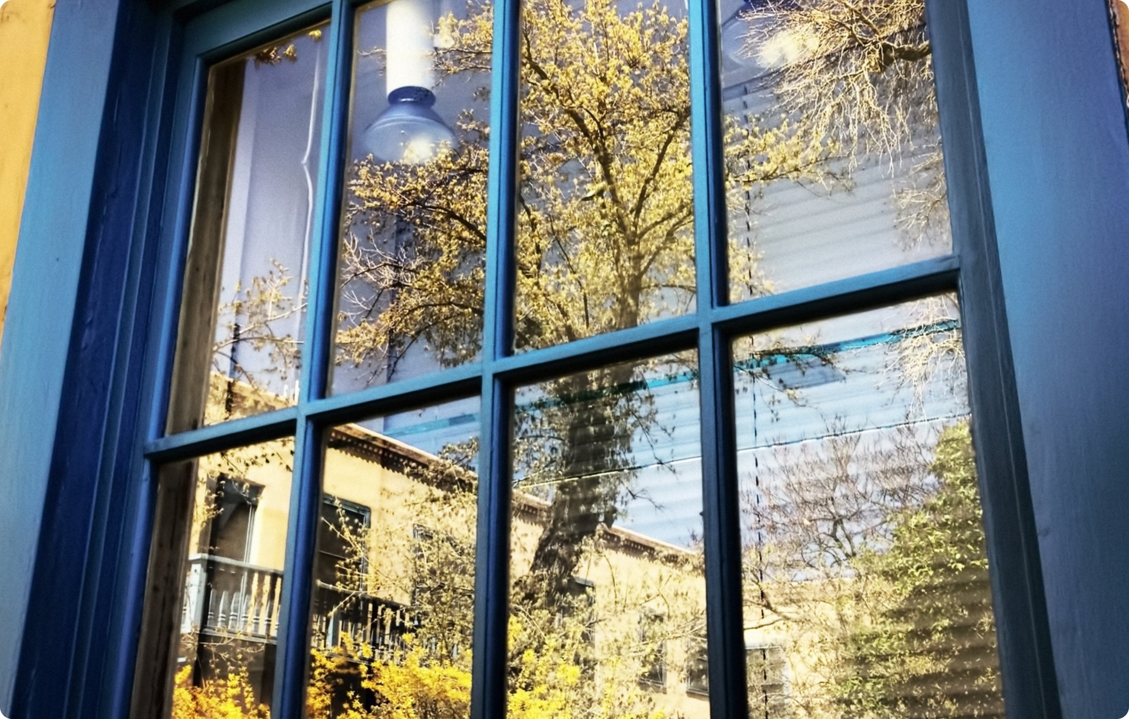 White Markers For Reflective & Combination Glass – Feather Friendly
